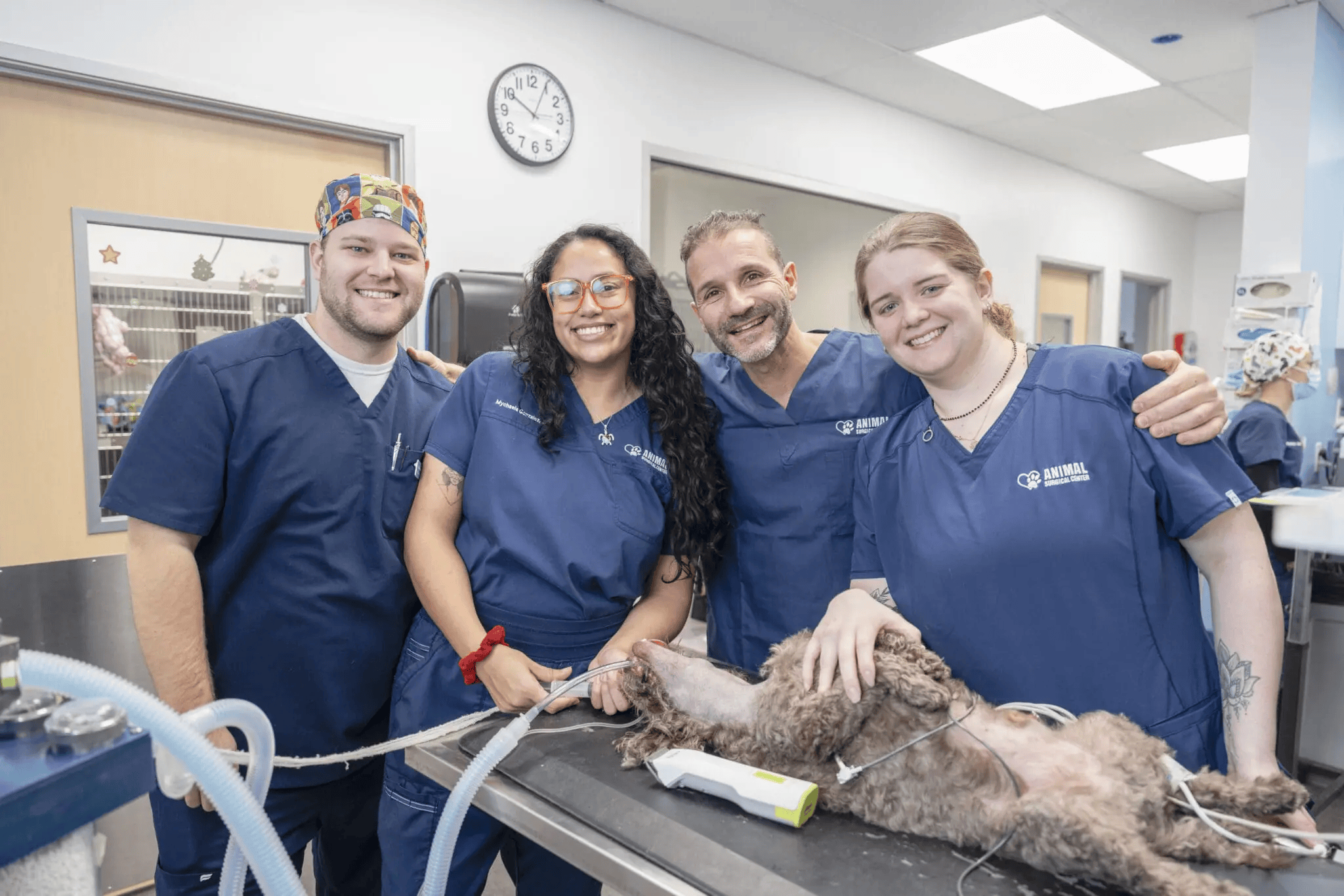 Working At Asc Animal Surgical Center